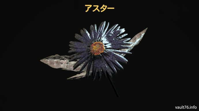 アスター（Aster）｜ぬかキャン：Fallout 76 サバイバルガイド