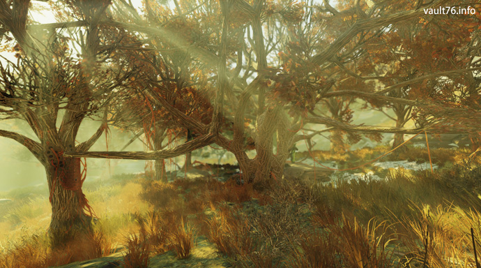 ガルパー・ラグーン（Gulper lagoon）｜ぬかキャン：Fallout 76 サバイバルガイド