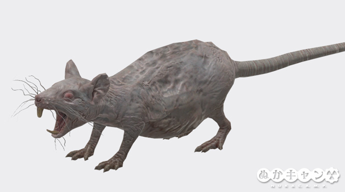 ラッドラット（Radrat)｜ぬかキャン：Fallout 76 サバイバルガイド