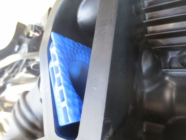 TIFEXバージョンアップ : 自然を満喫しよう！