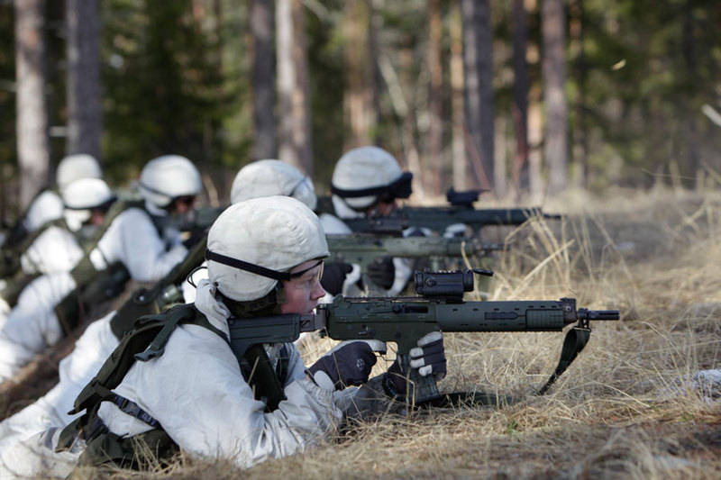 エアガンレビュー・パドック武器店通信 : ボフォース社が作った近代化改装されたスウェーデンFNCのAK5C