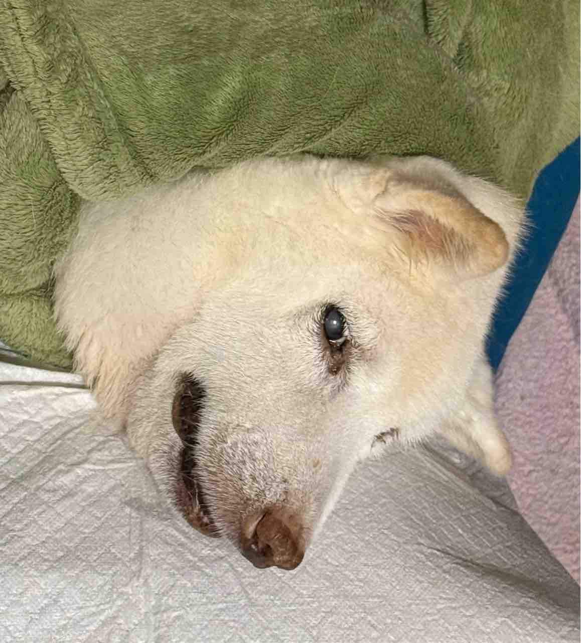 春と秋 - くまめくり～日々是自転車操業～