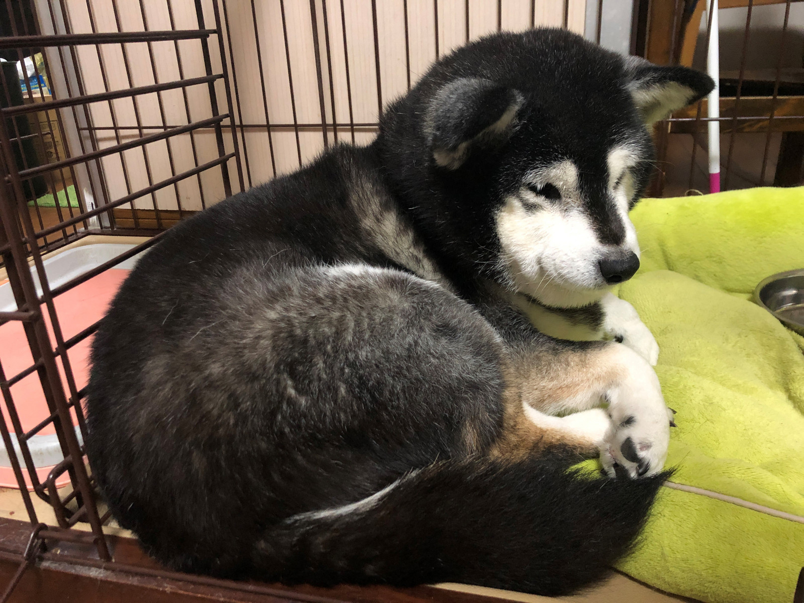 沼 - くまめくり～日々是自転車操業～