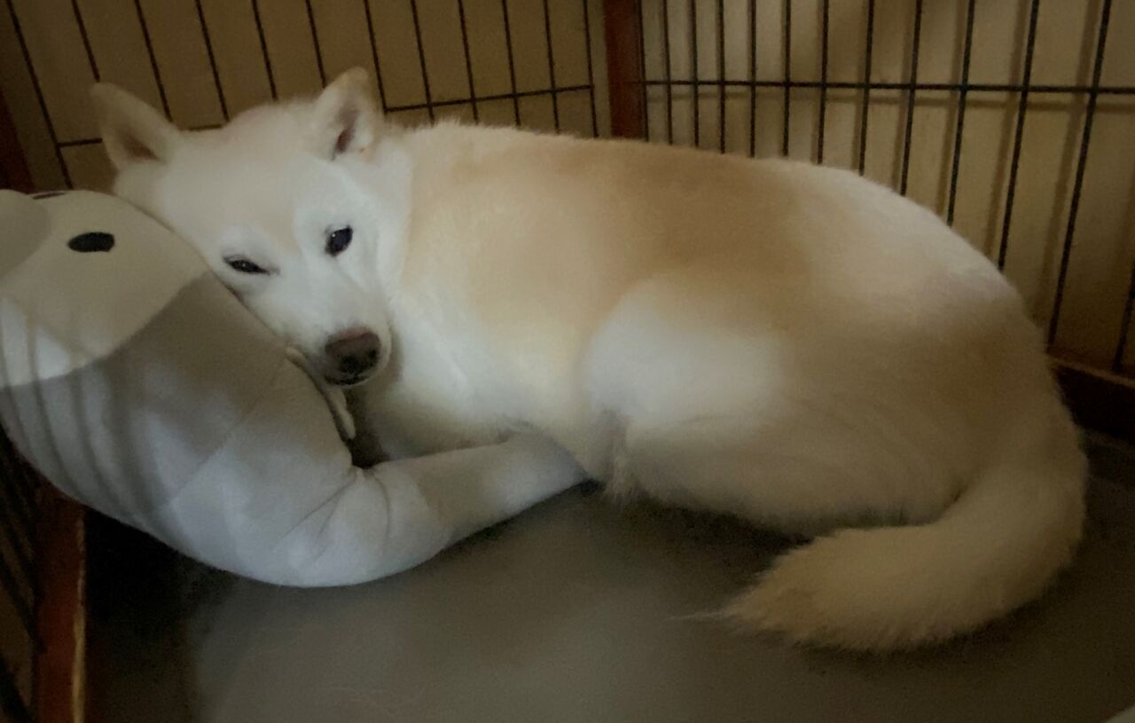 名前にときめく : くまめくり～日々是自転車操業～