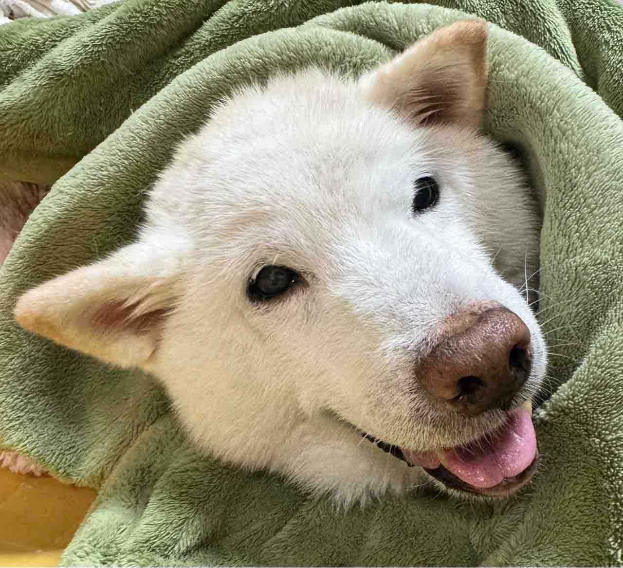 If I were a bird..... - くまめくり～日々是自転車操業～