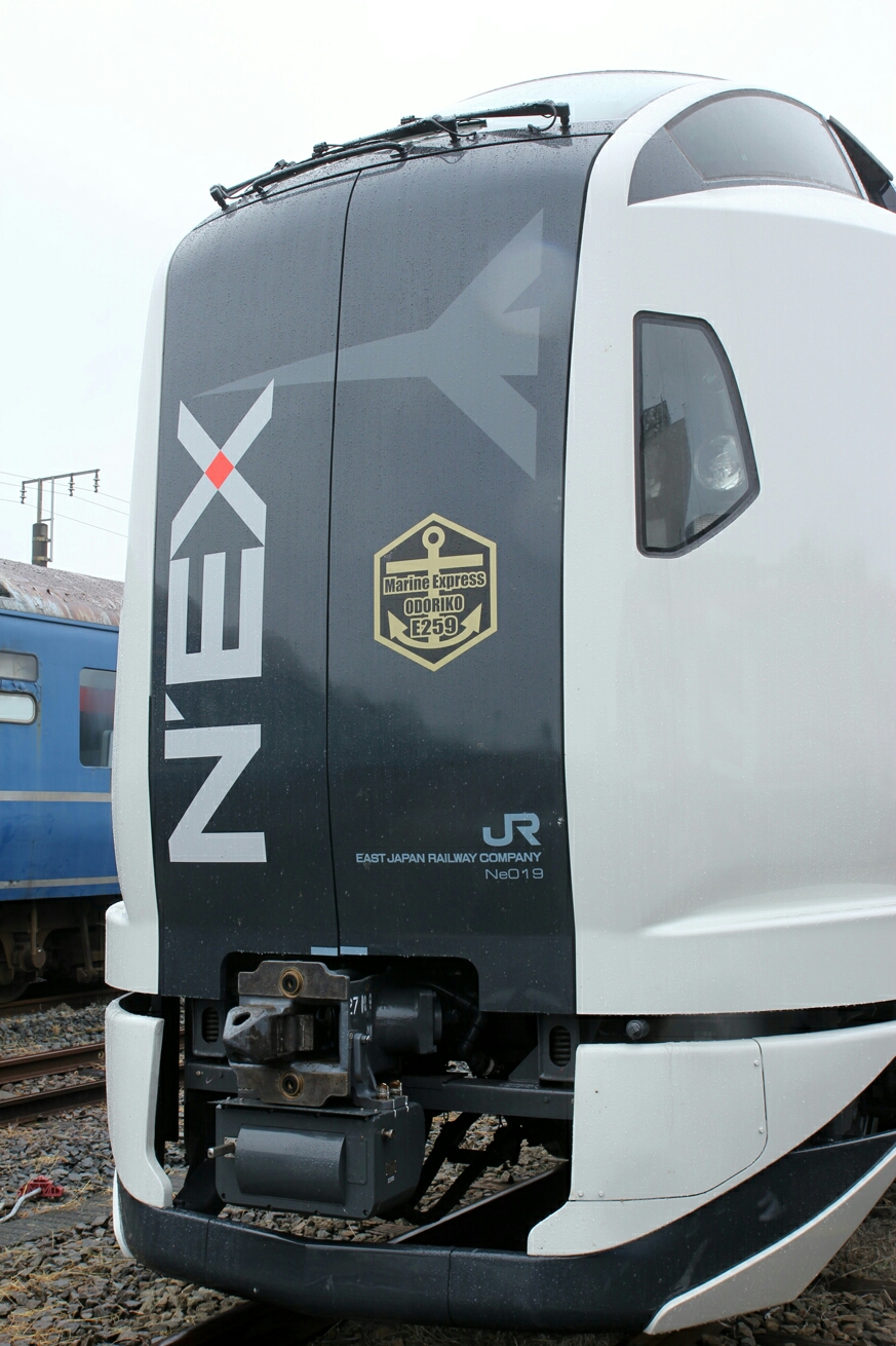 NEX！ E259系 マリンエクスプレス踊り子 ～11月14日 第15回 みんな集まれ！ふれあい鉄道フェスティバル ～ : ぱんこの撮影日記 ～本館～