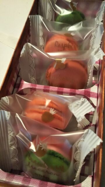 ファクトリーShin Berry Berry Macaron : 横浜市中区元町の整体 カイロプラクティックCura（クーラ） パパクーラの世界