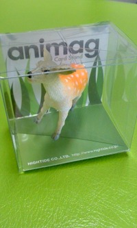 animag カードスタンド : 横浜市中区元町の整体 カイロプラクティックCura（クーラ） パパクーラの世界