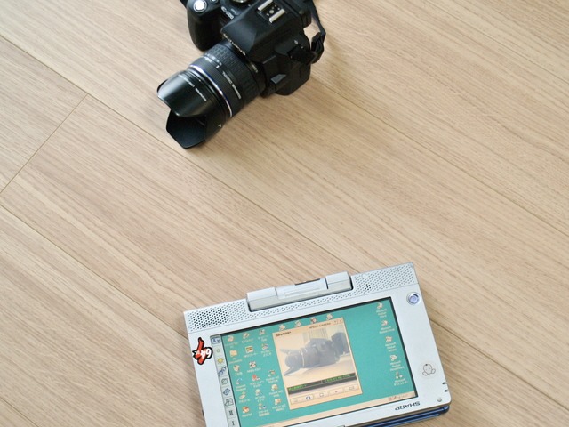 SHARP Telios HC-VJ1Cの環境整備です。 : 小さいって事は・・・