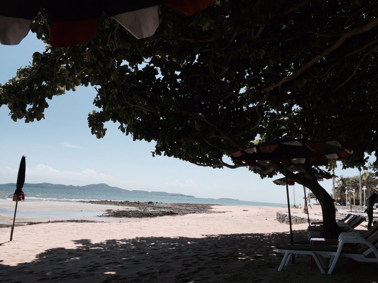 pi_yuの髪結いの亭主日記＠Bangkok : 突然のパタヤ