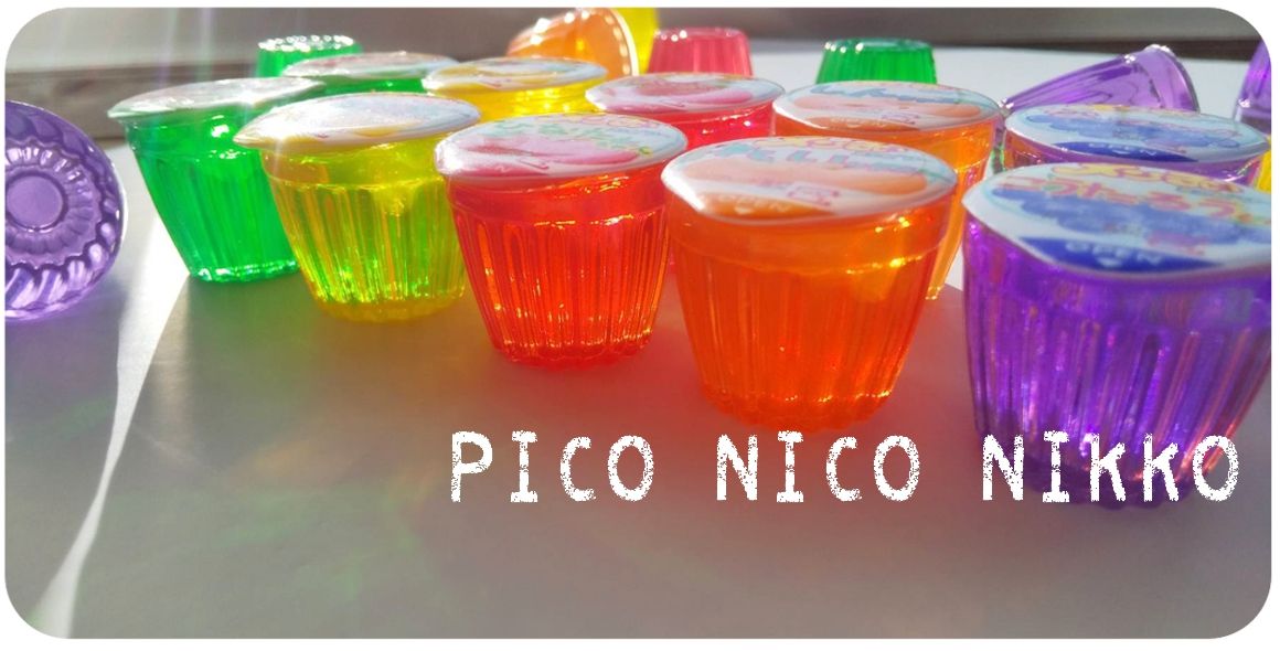 PICO NICO NIKKO