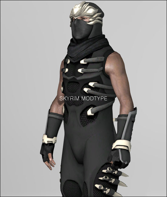 NINJA GAIDEN リュウ・ハヤブサMOD : SKYRIM MODTYPE