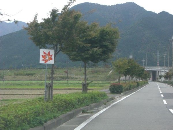 フィジカル・ウェルネス : 馬馬虎虎