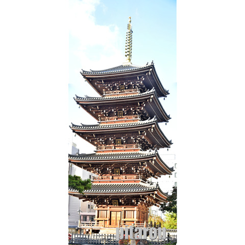 ＃2 宮城野区 光明山孝勝寺 2021年10月23日撮影 : pitarouファミリーのブログ