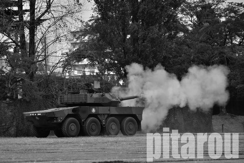 ＃2陸上自衛隊東北方面隊創隊記念行事 2019年 : pitarouファミリーのブログ