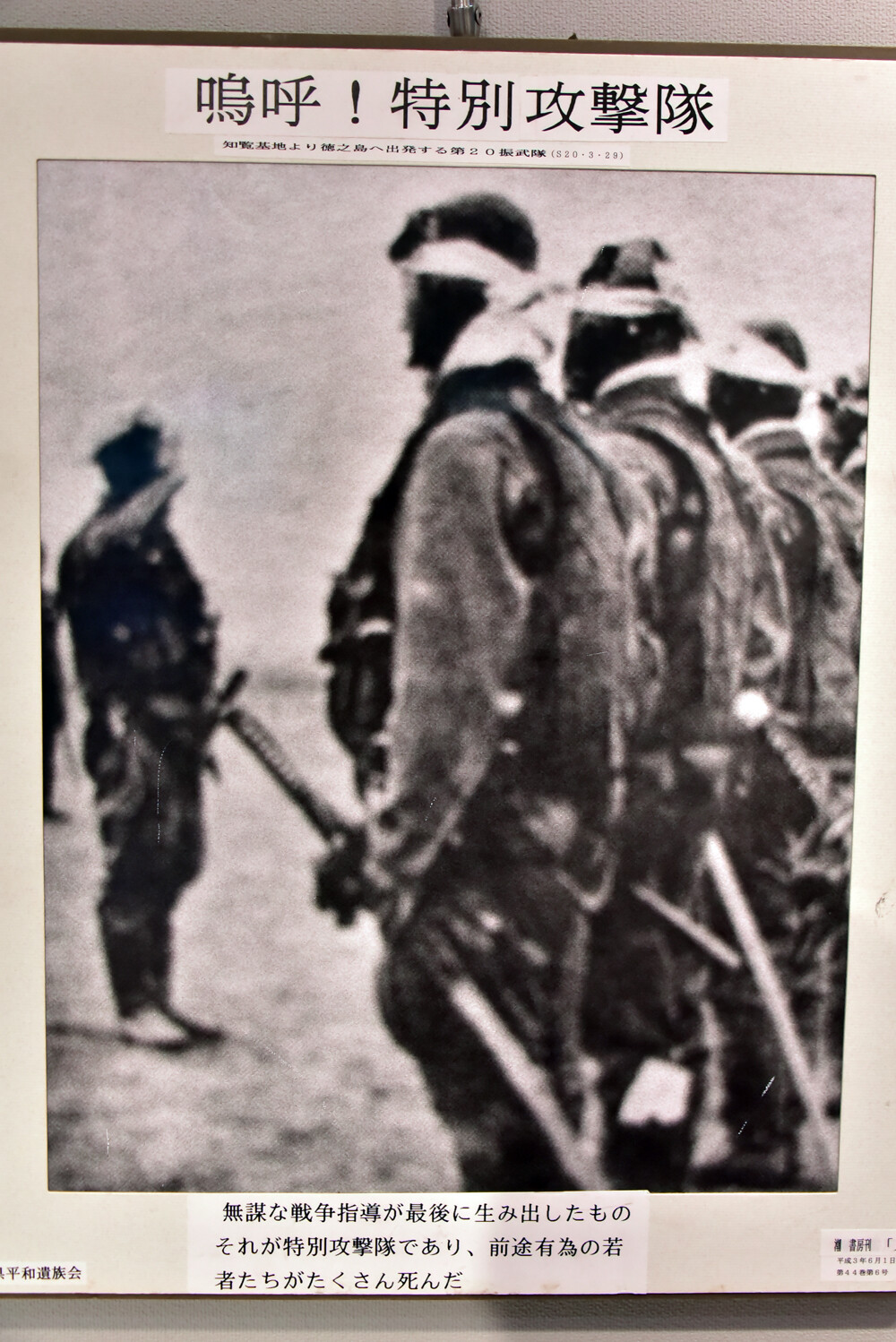 写真展 : pitarouファミリーのブログ