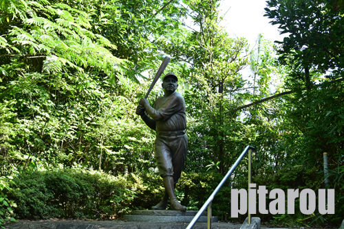 ＃7 ベーブルース・フラミンゴちゃん 八木山動物公園フジサキの杜 : pitarouファミリーのブログ