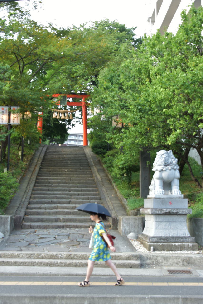 2018年08月 : pitarouファミリーのブログ