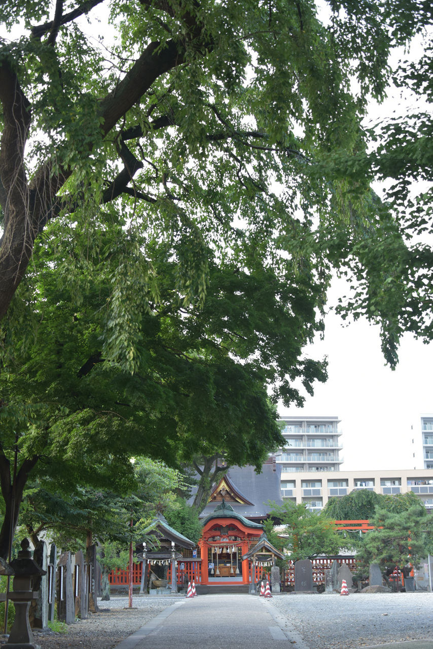 2018年08月 : pitarouファミリーのブログ