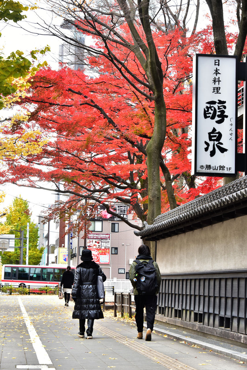 勝山酒造 2017年11月19日 : pitarouファミリーのブログ