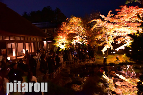 ＃4松島紅葉ライトアップ2019 円通院3 今年は中止です。 : pitarouファミリーのブログ