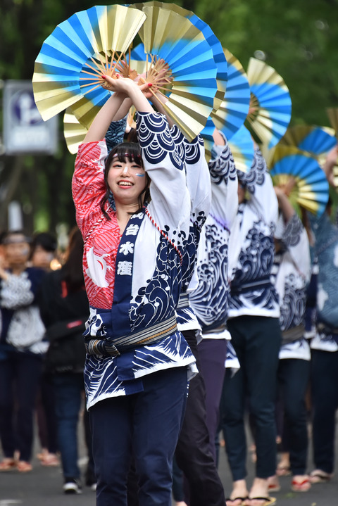 仙台・青葉まつり 2019 : pitarouファミリーのブログ