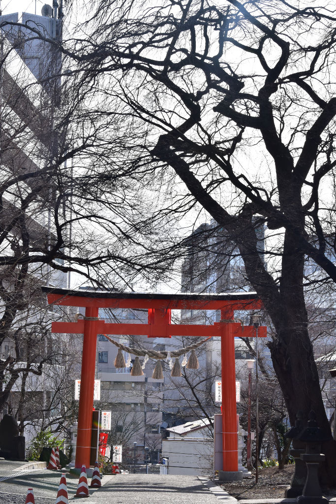 2017年12月31日 : pitarouファミリーのブログ