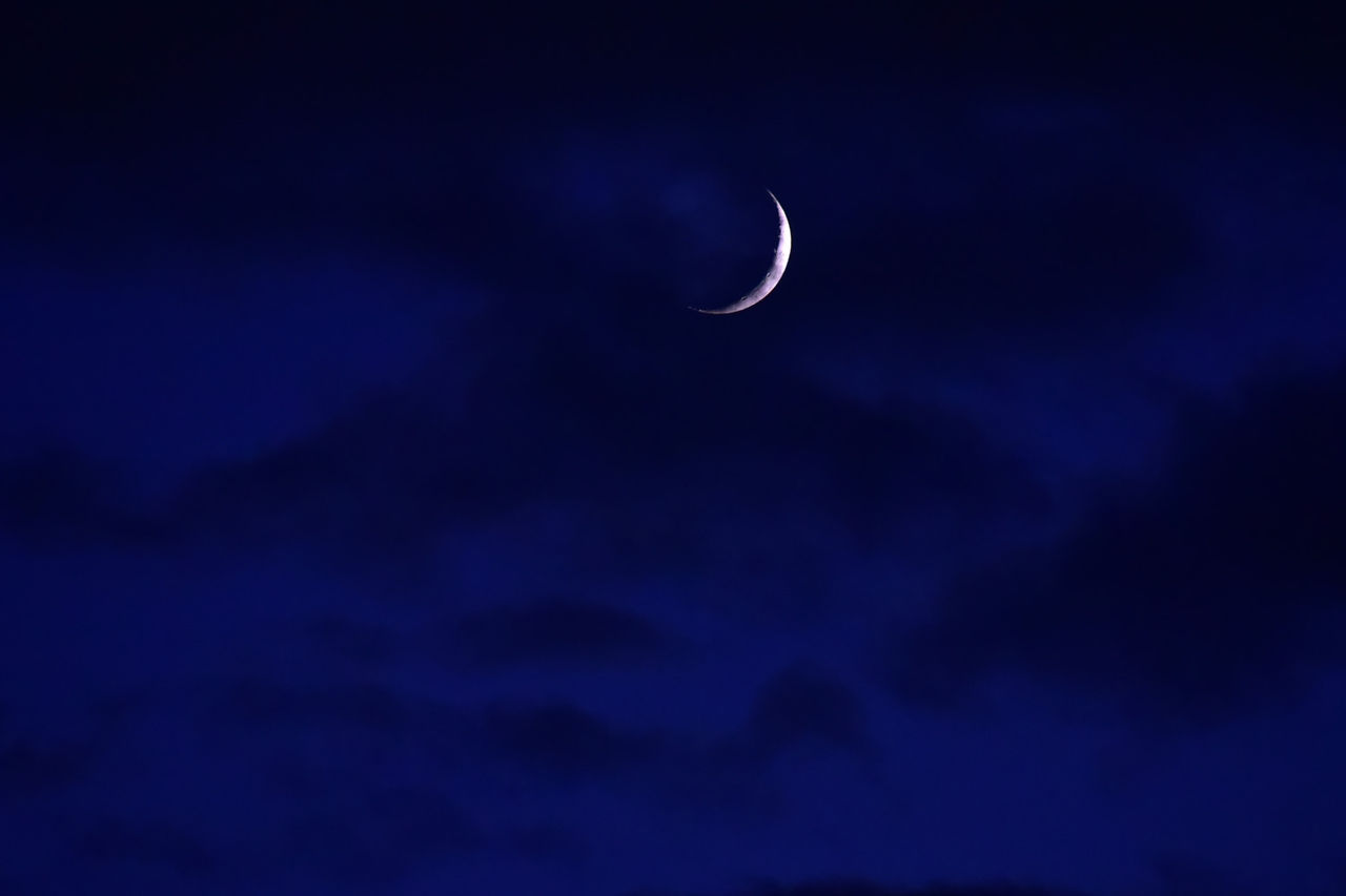 今日は秋分の日 これからは夜が長くなります。 9月23日 : pitarouファミリーのブログ