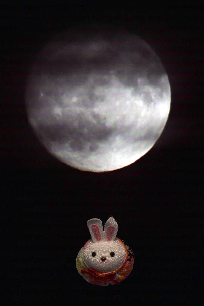 今日は中秋の名月です。10月4日 : pitarouファミリーのブログ