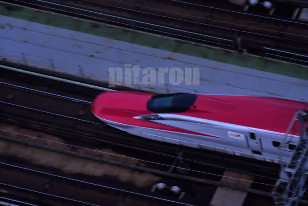 東北新幹線 : pitarouファミリーのブログ