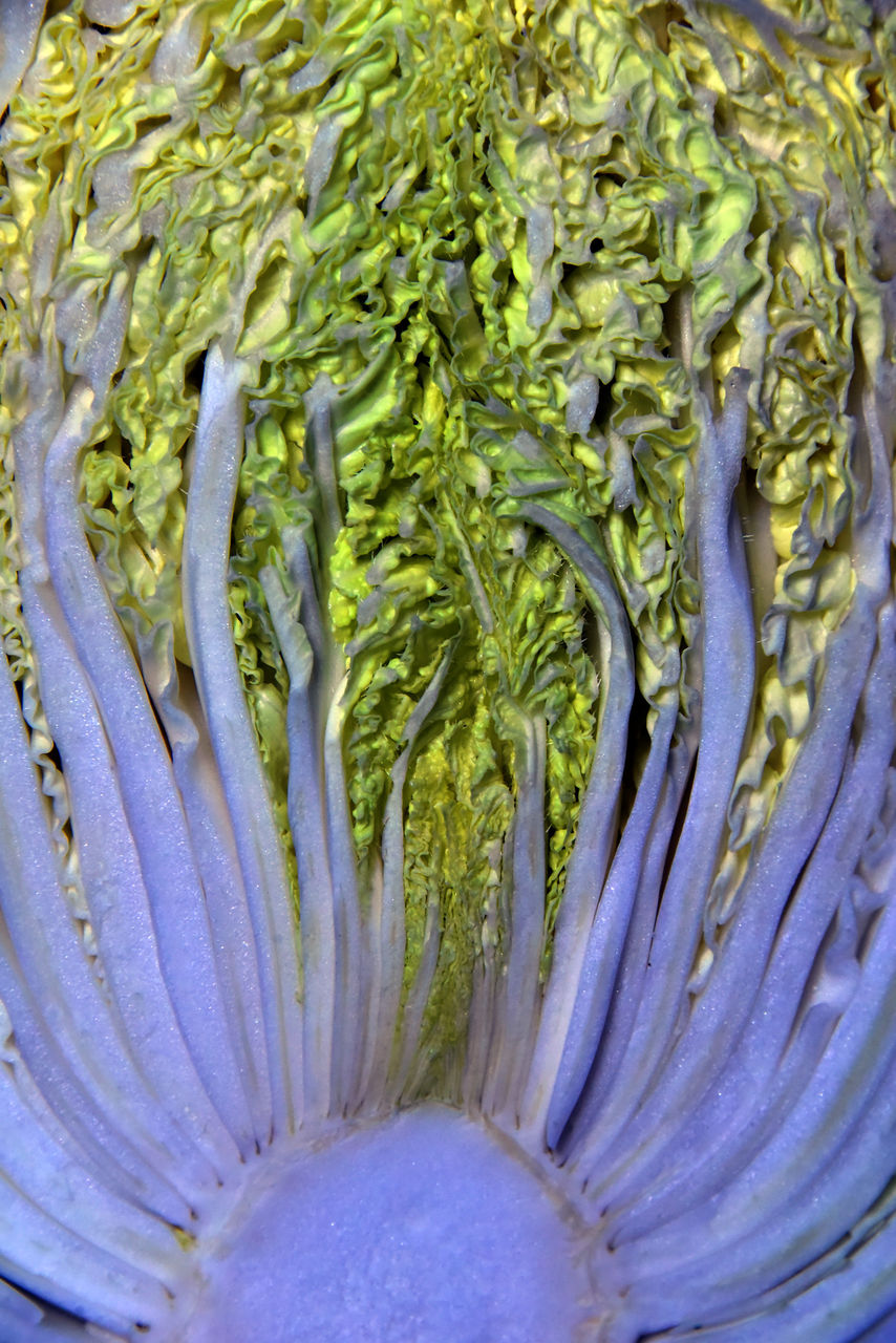 今日は秋分の日 これからは夜が長くなります。 9月23日 : pitarouファミリーのブログ