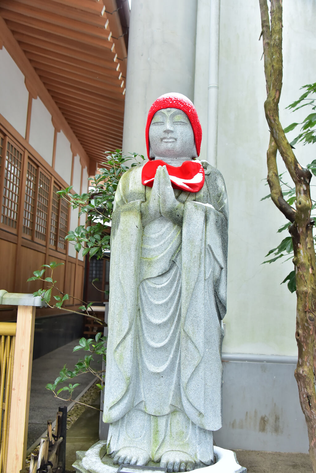 北山輪王寺 : pitarouファミリーのブログ