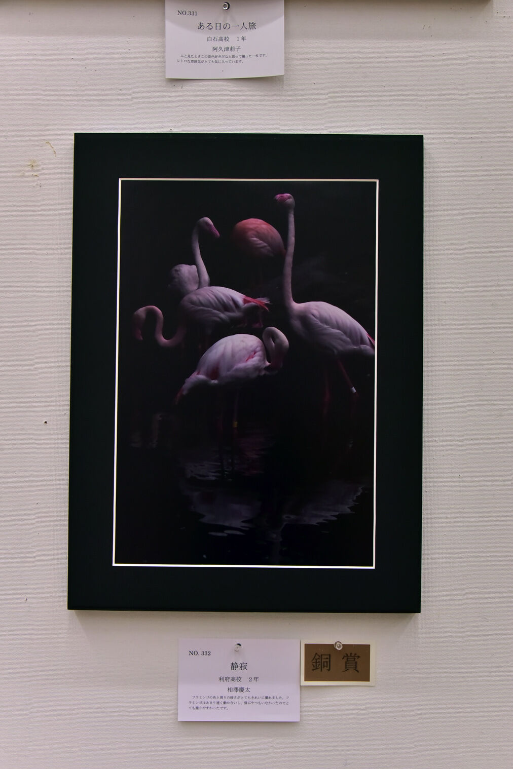 写真展 : pitarouファミリーのブログ