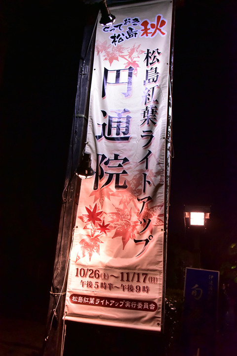 ＃2松島紅葉ライトアップ2019 円通院1 今年は中止です。 : pitarouファミリーのブログ