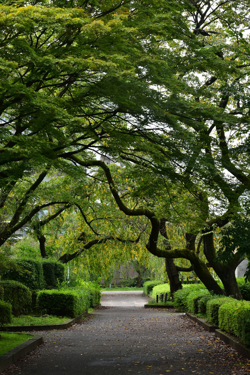 榴岡（つつじがおか）天満宮にお参りしてきました。9月15日 : pitarouファミリーのブログ