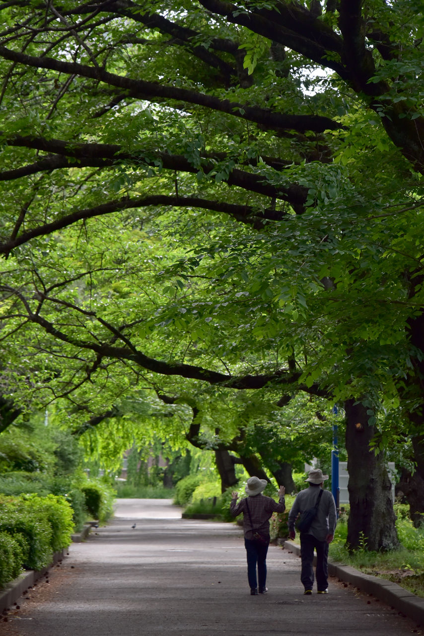 榴岡（つつじがおか）天満宮に参拝してきました。6月1日 : pitarouファミリーのブログ