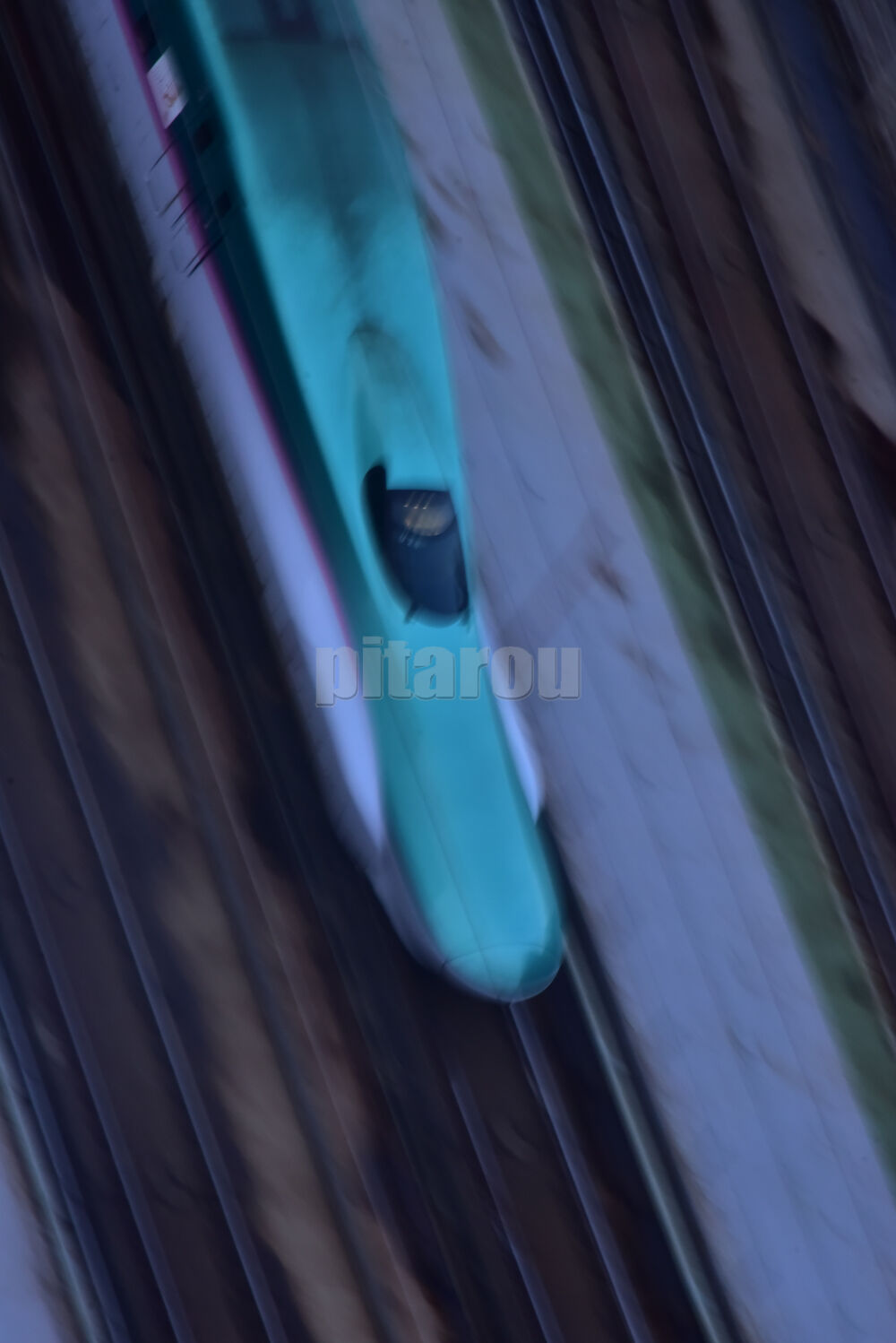 東北新幹線 : pitarouファミリーのブログ