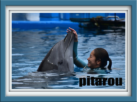 県民共済2020年入賞 : pitarouファミリーのブログ