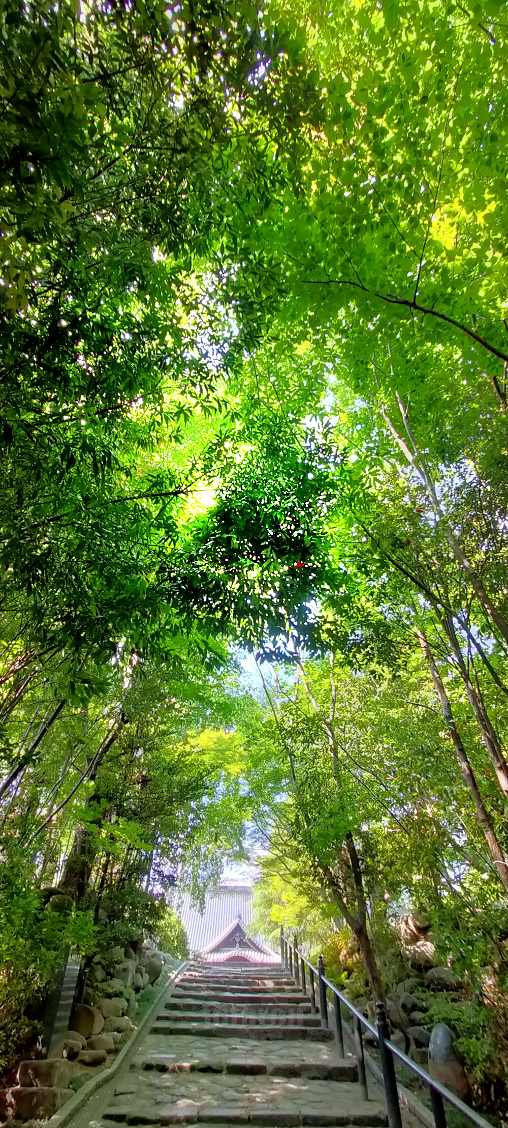 北山輪王寺 : pitarouファミリーのブログ