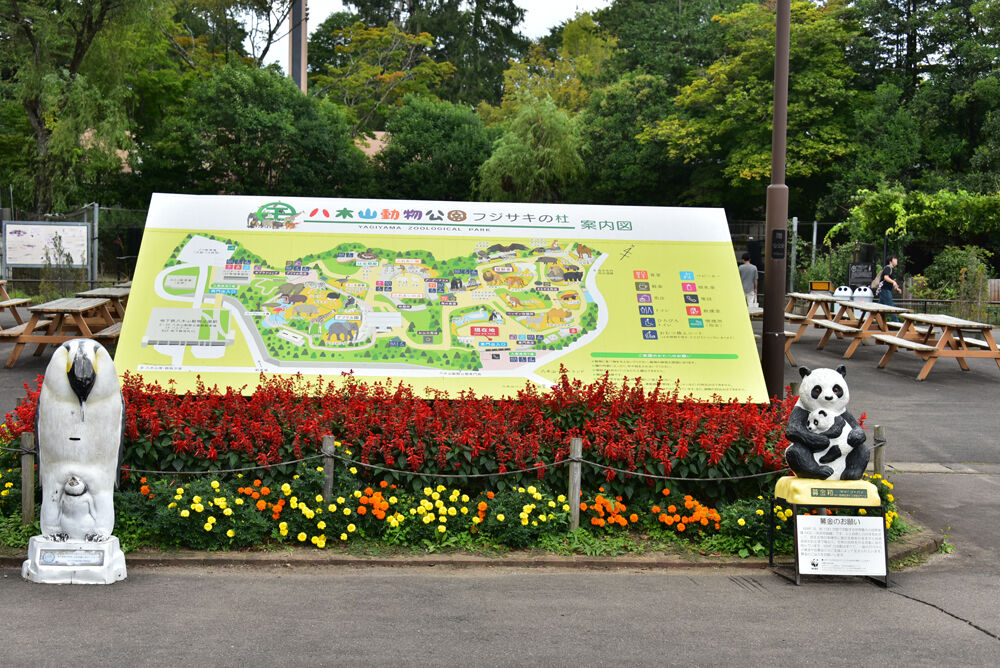 八木山動物公園フジサキの杜 ペンギンちゃんと象さん 2021年9月15日撮影 : pitarouファミリーのブログ