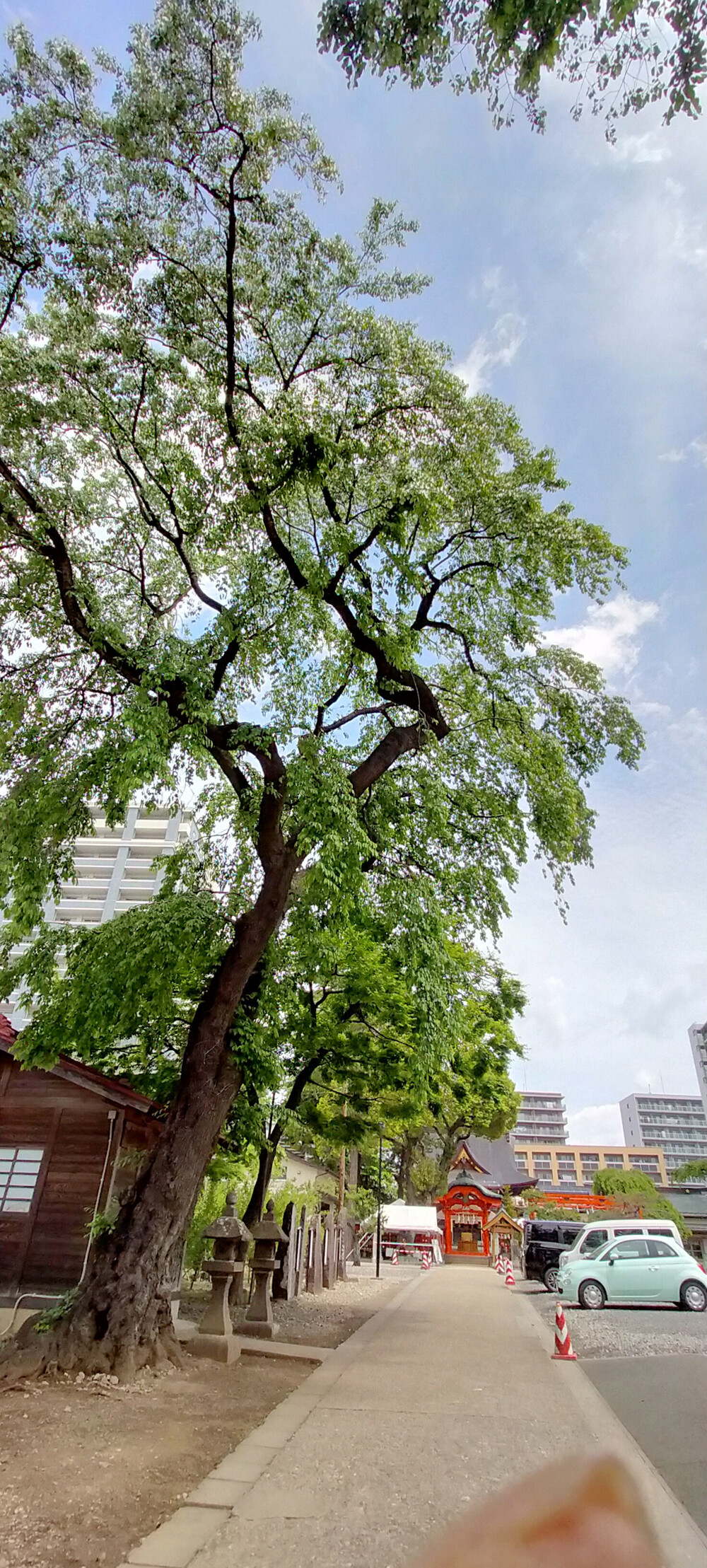 宮城野区榴岡（つつじがおか）天満 : pitarouファミリーのブログ
