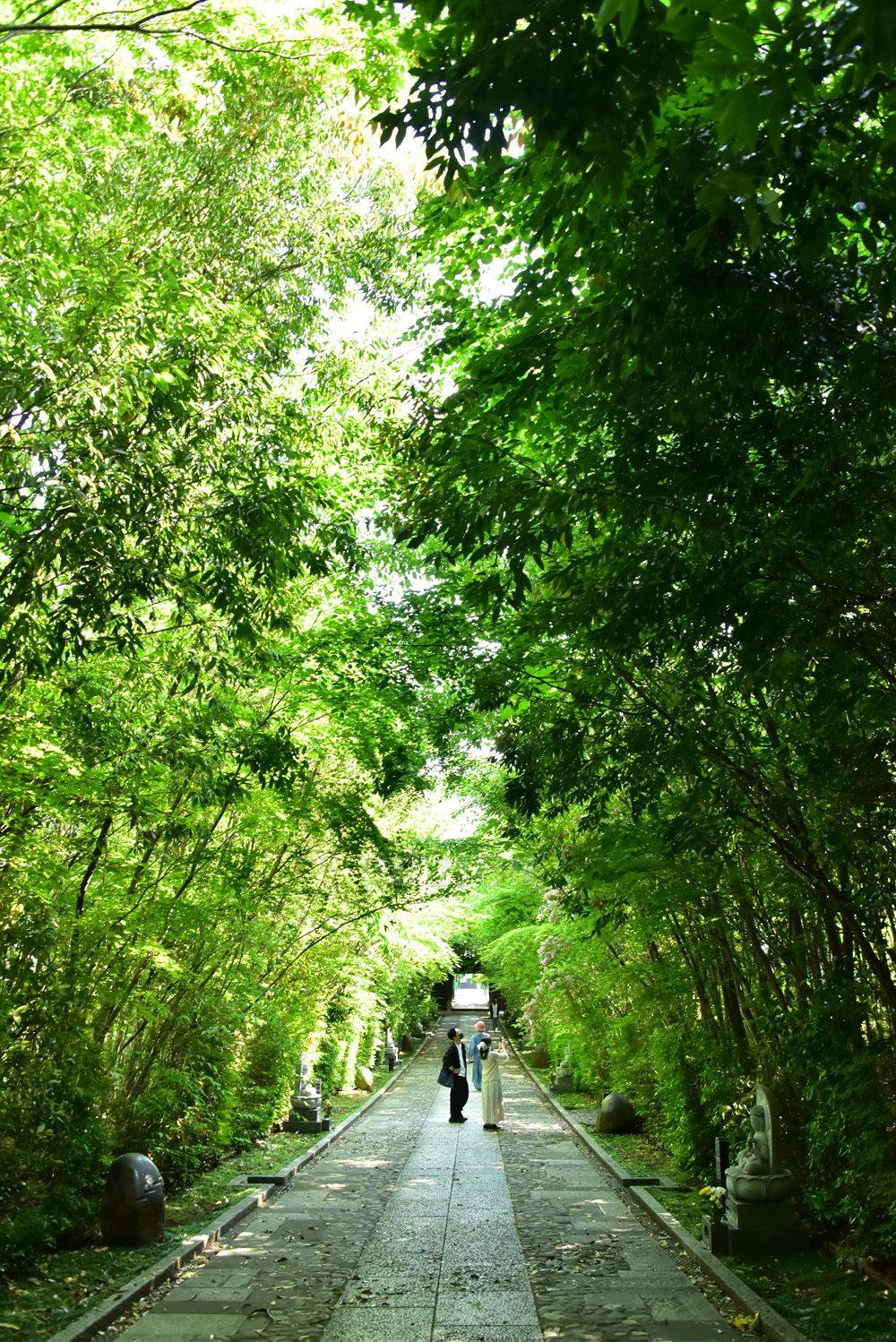 北山輪王寺 : pitarouファミリーのブログ