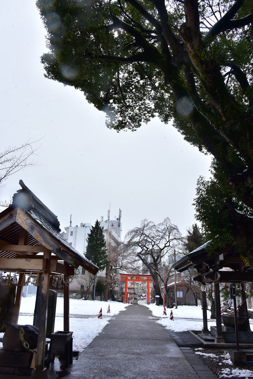 2018年01月 : pitarouファミリーのブログ