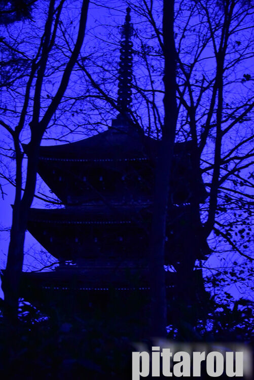 ＃7 浄土宗極楽山西方寺 五重塔 2019年11月 : pitarouファミリーのブログ