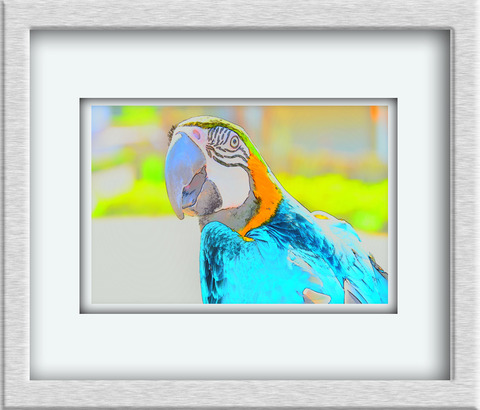 カラースケッチで八木山動物公園フジサキの杜 : pitarouファミリーのブログ