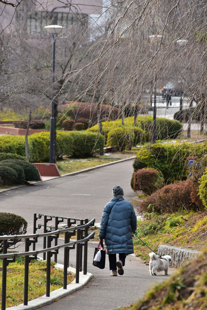 榴岡天満宮にお参りしてきました。 12月31日 : pitarouファミリーのブログ