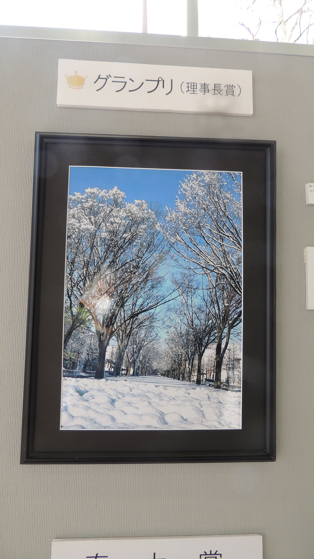 チイちゃん先生フォトコンテストに入賞しました。 : pitarouファミリーのブログ