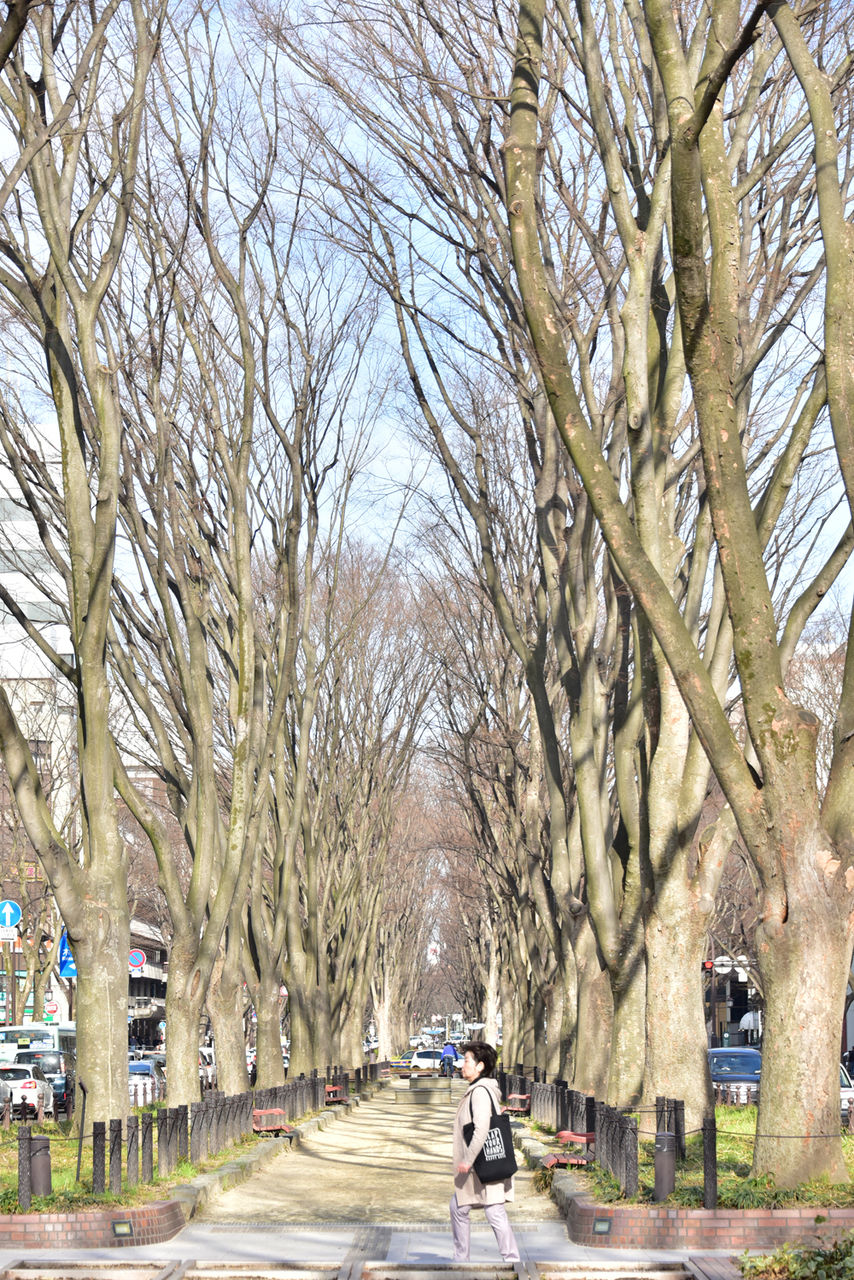 水浴の女 定禅寺通緑地 3月24日 : pitarouファミリーのブログ