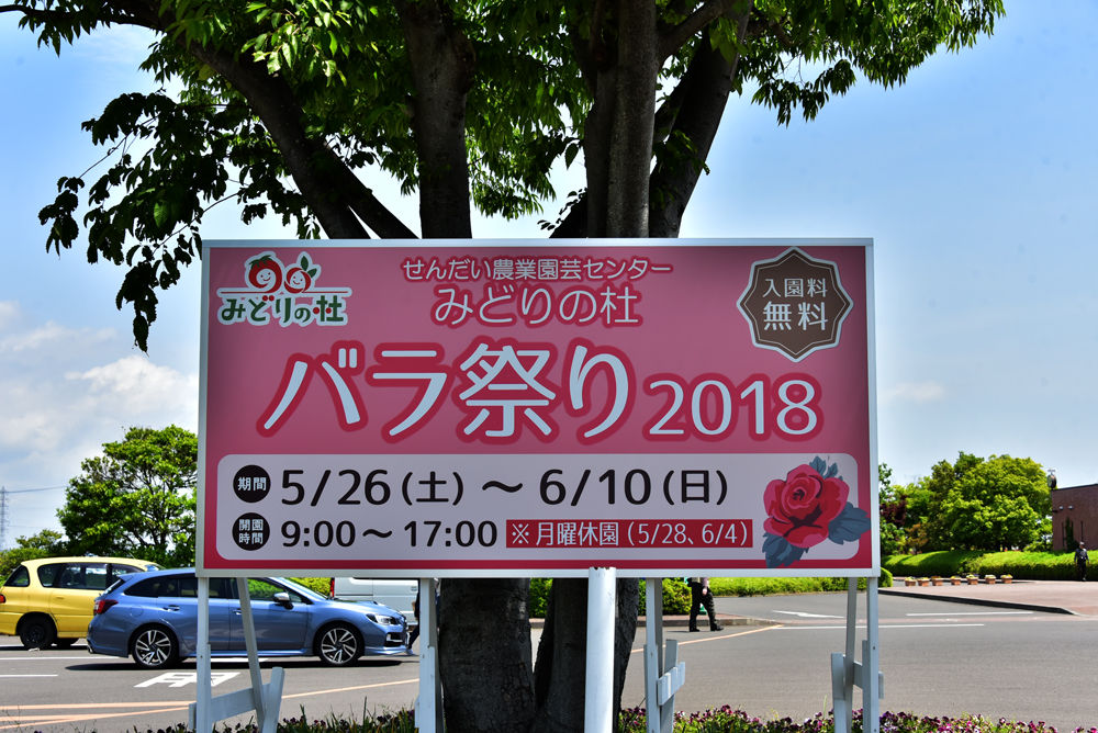 せんだい農業園芸センターバラ祭り 6月10日（日）まで : pitarouファミリーのブログ