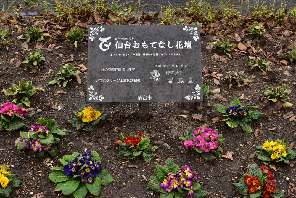 定禅寺通り 2021年3月16日（火）撮影 杜の都の彫刻めぐり : pitarouファミリーのブログ